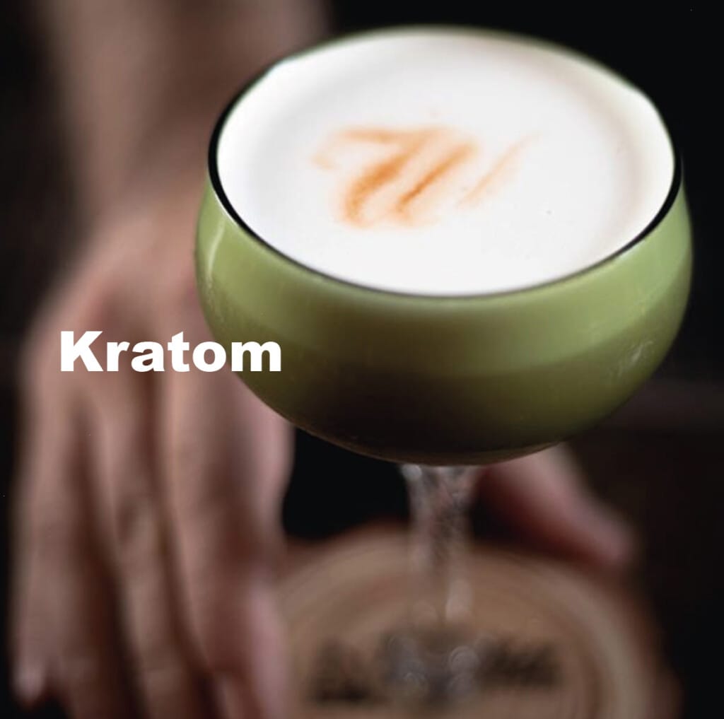 Kratom ou comment se diversifier au bar en temps de Covid-19